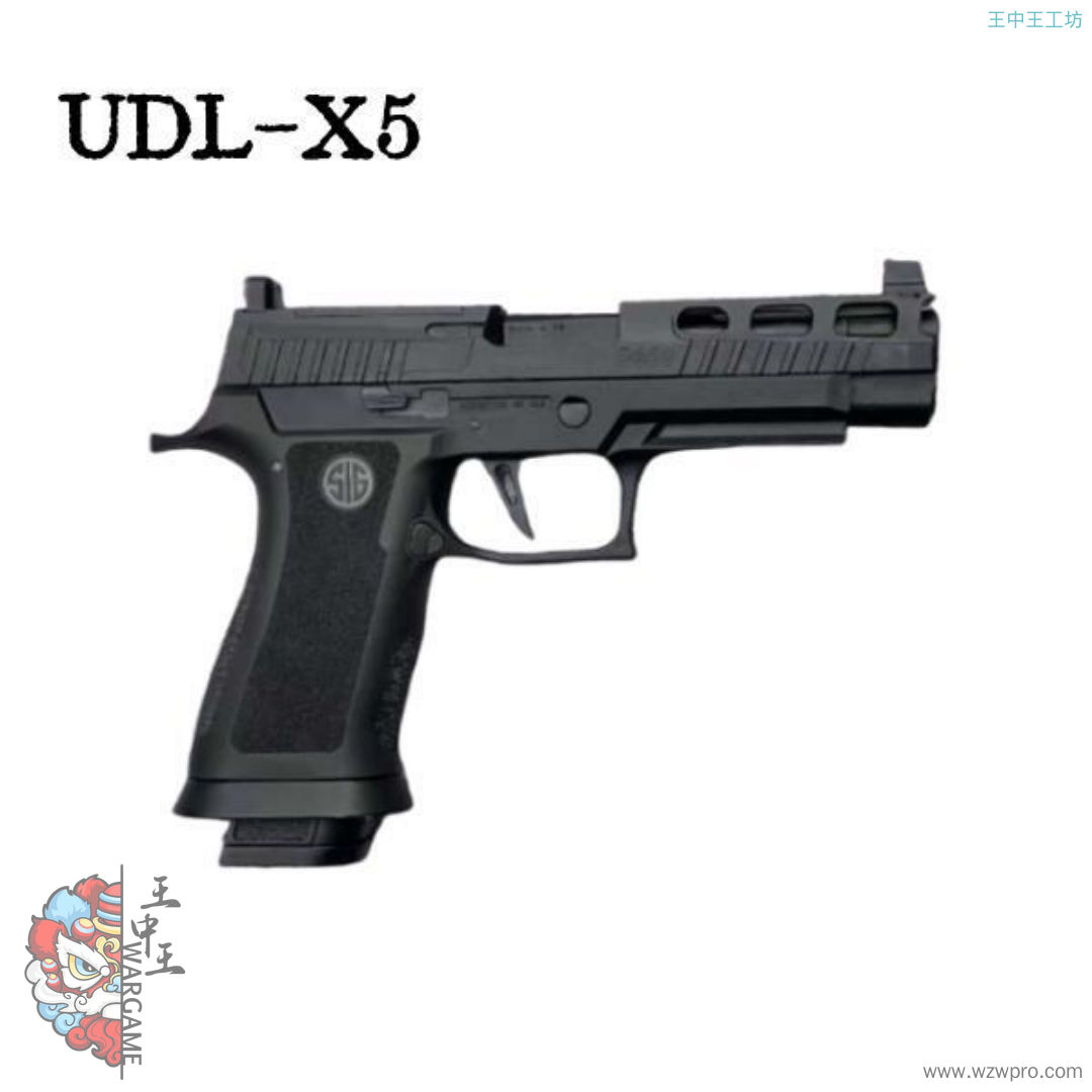 有稻理udl p320 x5 西格邵尔